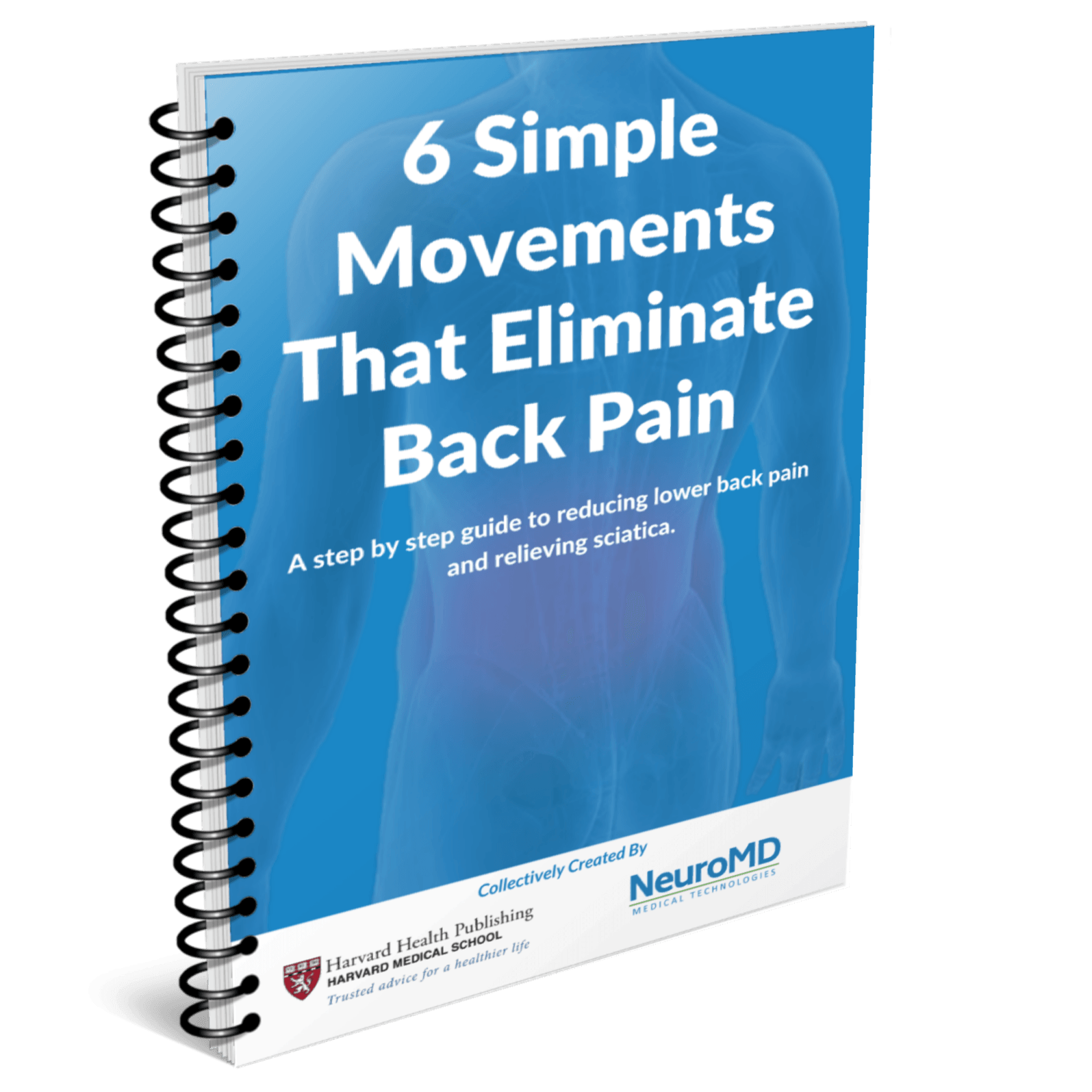 FREE 6 Simple Movements To Eliminate Back Pain eBook ($9.95 Value - In ...